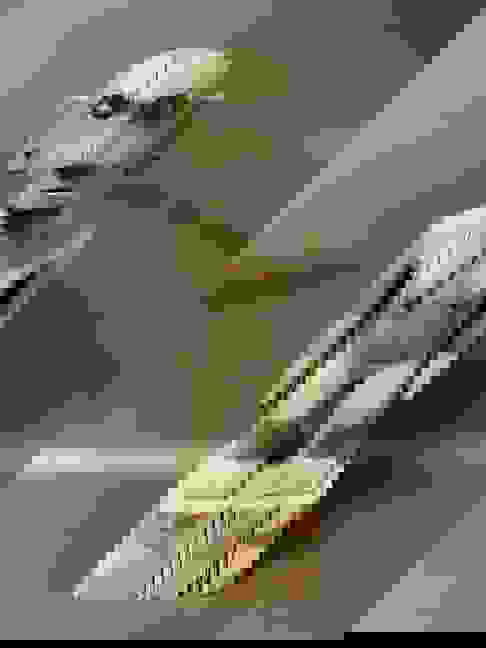 Philippine Tribal Art Ifugao Carved Wood Rice God Bulul Statue Auction