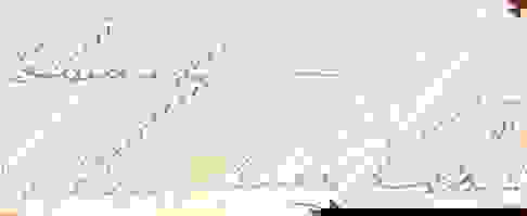 Cecil B. Demille Autograph Signature Auction