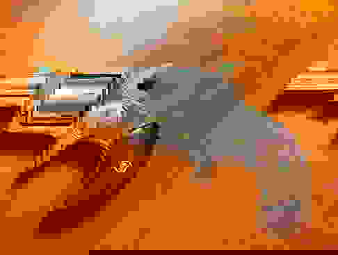 Rare Antique Hartford Arms Co. 22 Cal. 7 Shot Revolver Auction