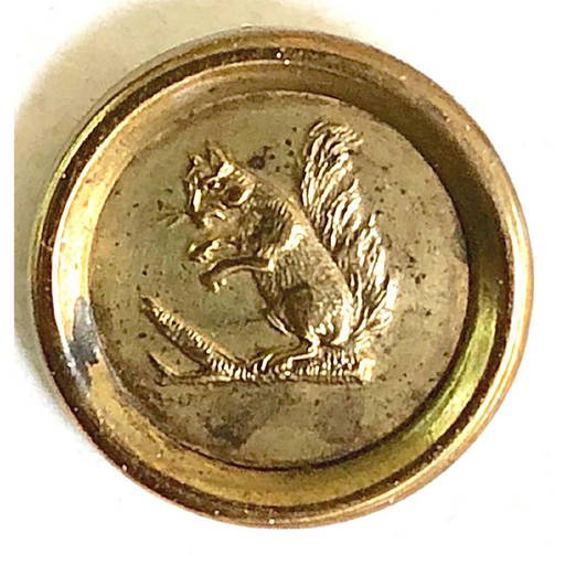 2 Small Jacksonian Buttons Incl, Squirrel