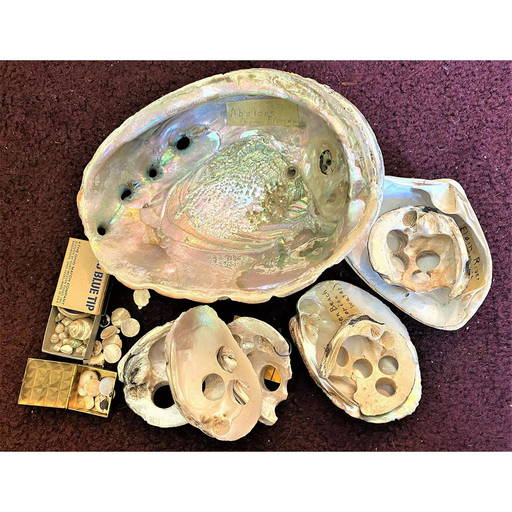 A Heavy Bag Lot Of Shells From Muscatine Iowa