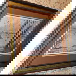 Manfred Schatz Framed Print Of Mallards Auction