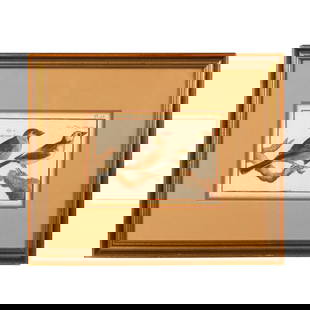 Richard P. Nodder, Original Hand Colored Engraving Butterfly Auction