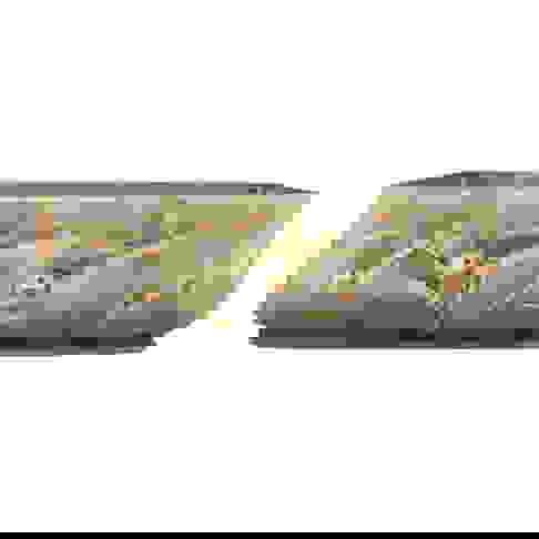 Rare Moorcroft Pottery Rectangular Cachepot, Fish Auction