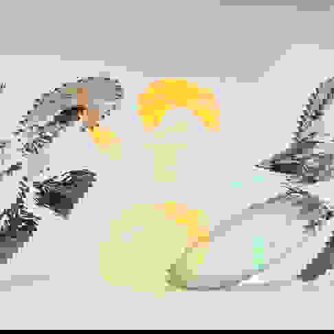 Swarovski Crystal Figurine, Royal Flycatcher 5651811 Auction