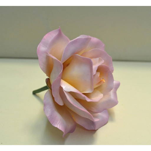 Connoisseur Porcelain Rose Flower Model Ap Prototype
