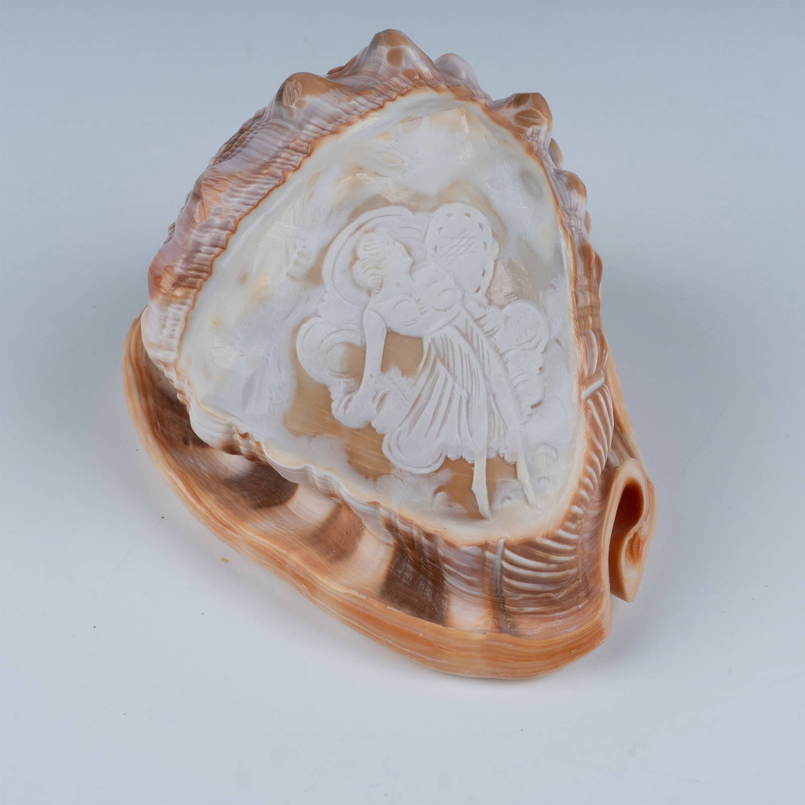 Carved Conch Shell Cameo Auction