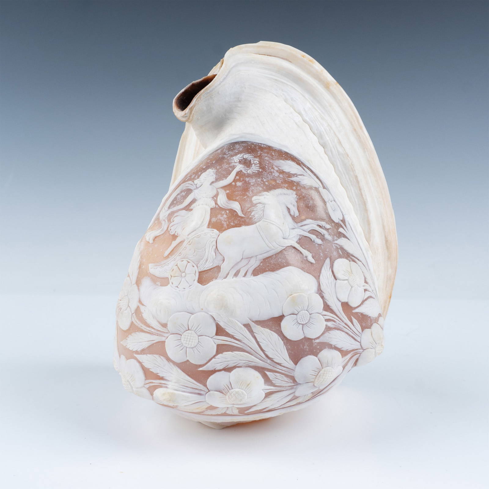 Carved Conch Shell Cameo Auction