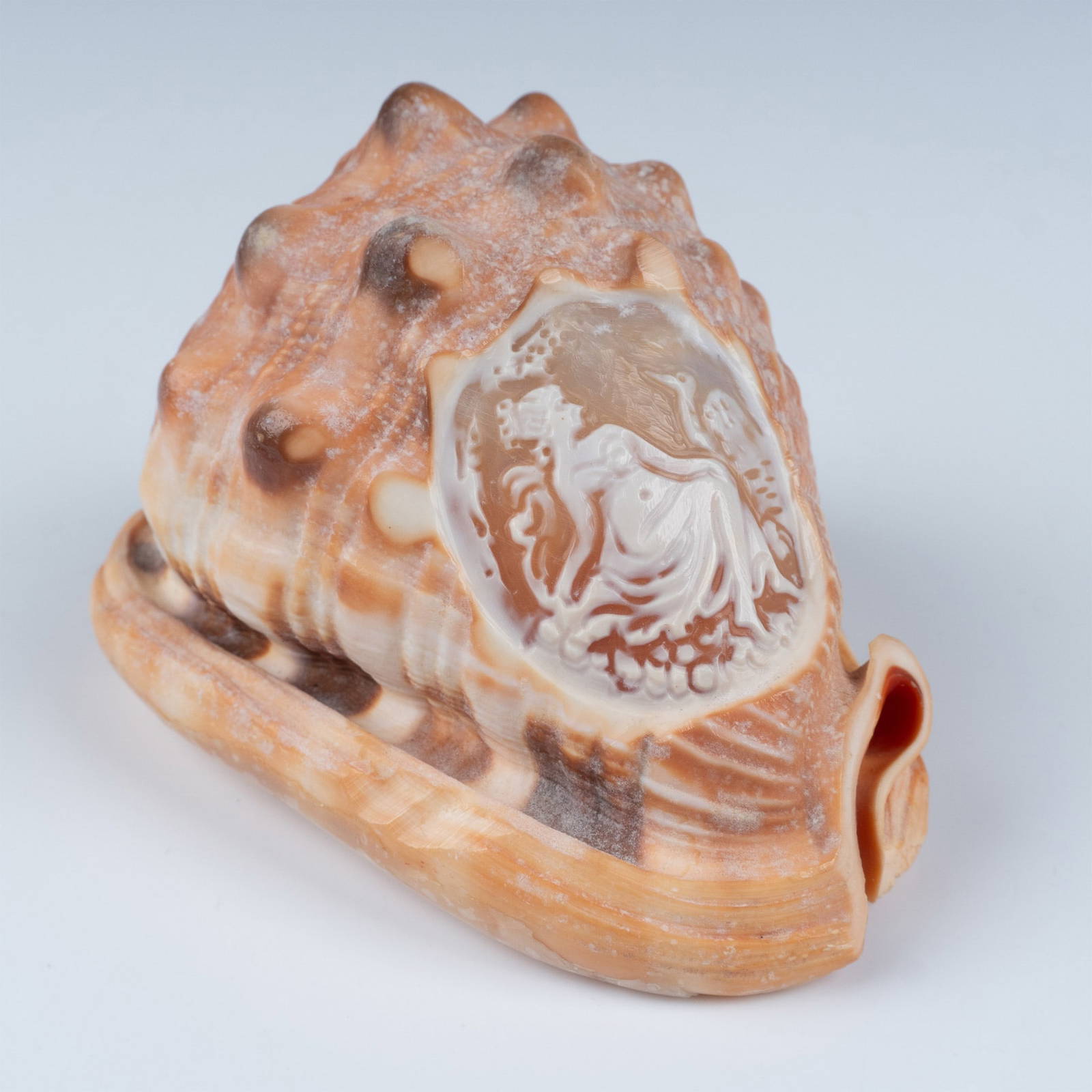 Carved Conch Shell Cameo Auction