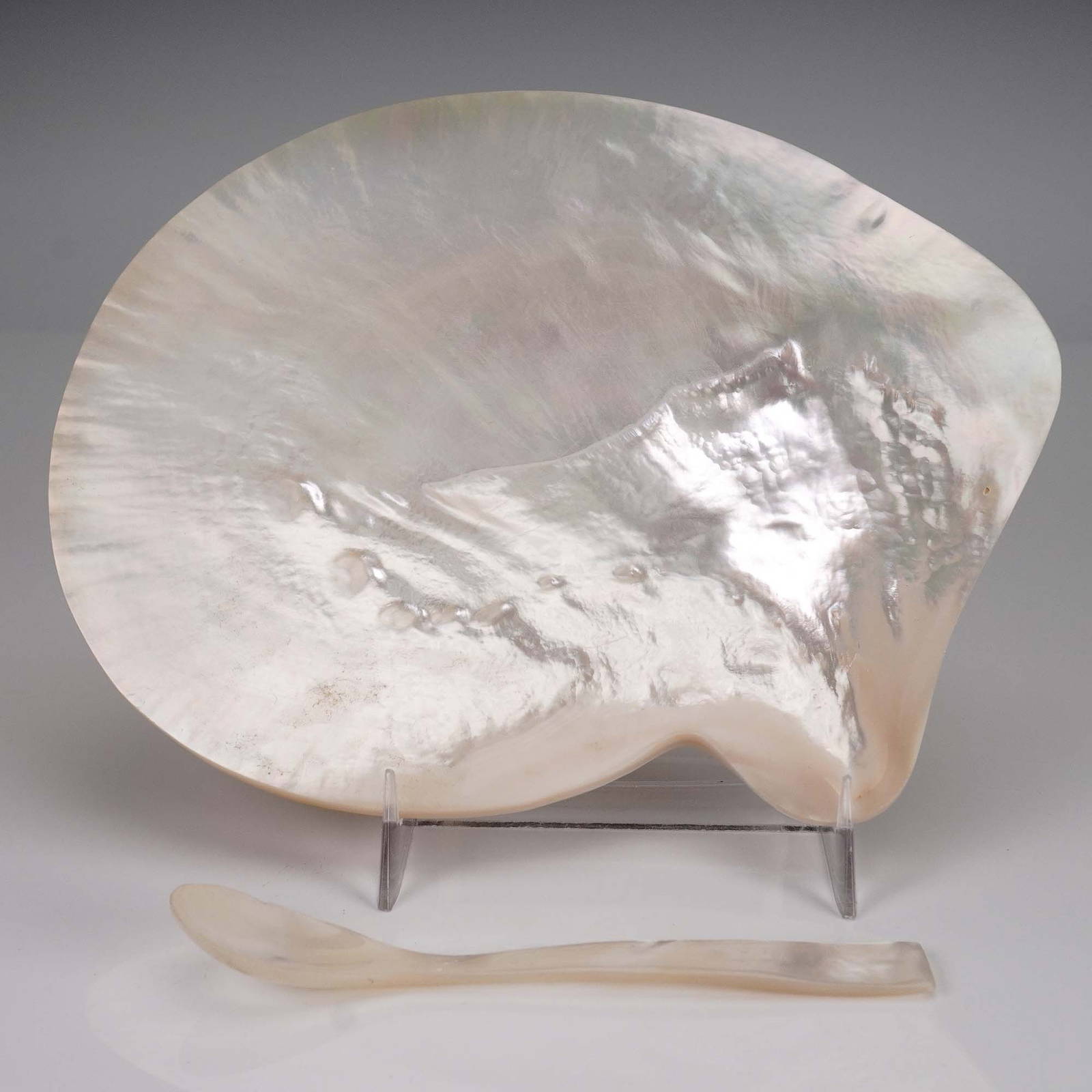 2pc Mother Of Pearl Shell Dish With Spoon - Jun 17, 2025 | Lion And ...