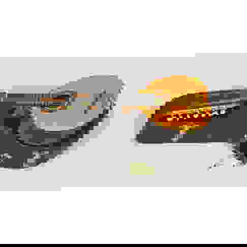 14-string Mandolin, Philippines 20 Auction