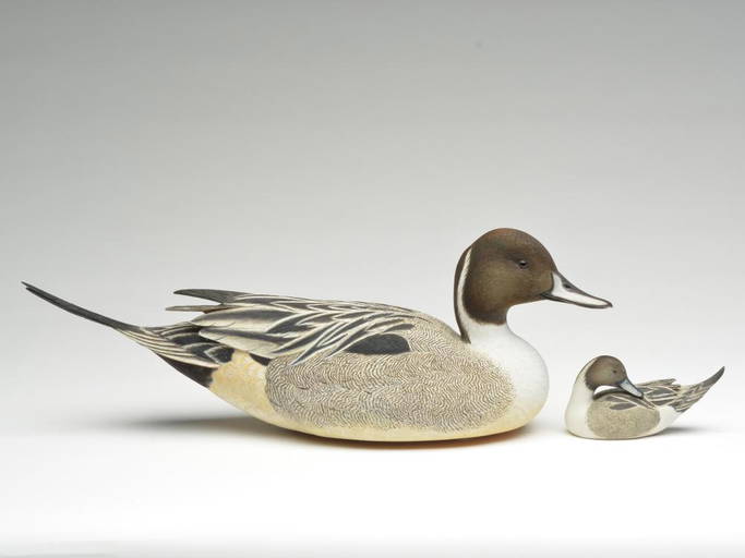 Pintail With Matching Miniature Carl Danos, Houma,