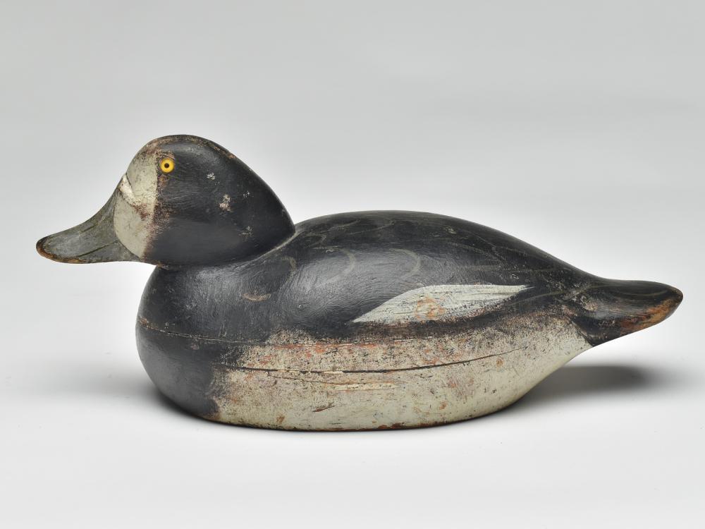 Rare Low Head Model Bluebill Hen, Mason Decoy Factory,