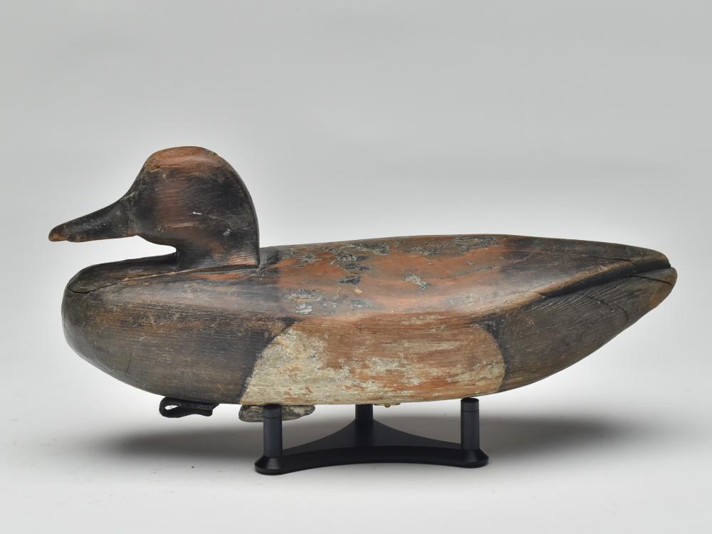 Bluebill Drake By A Member Of The Doughty Family, Hog - Nov 10, 2021 ...