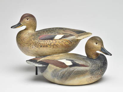 Ward Brothers Duck Print
