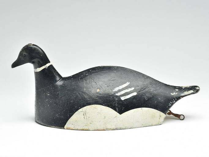 Rare brant, Marshall Aubrey Kent, Victoria, British Columbia, circa ...