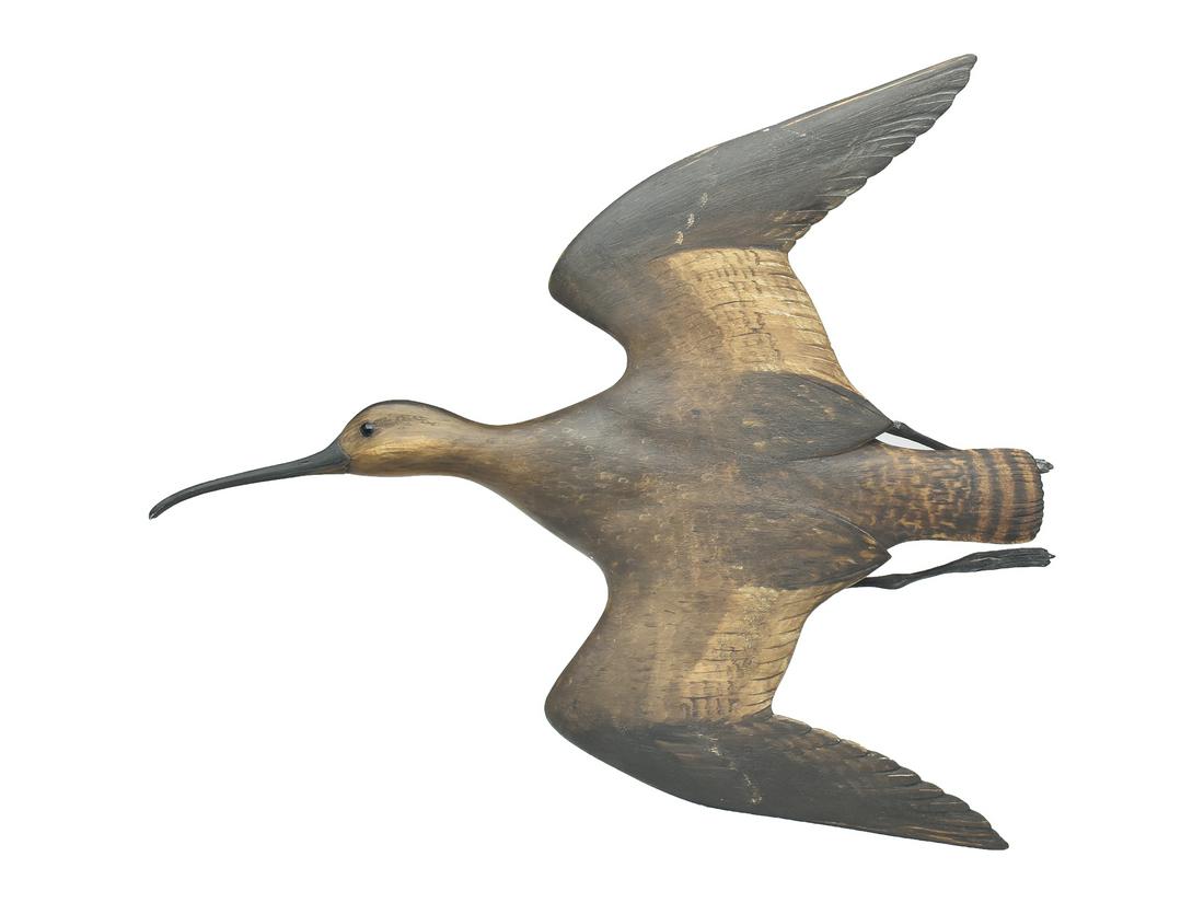 Full Size Flying Curlew, Frank Finney, Cape Charles, Virginia.