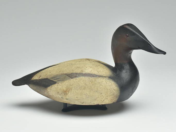 Canvasback drake, Ward Brothers, Crisfield, Maryland. (#0350) on Nov 10 ...