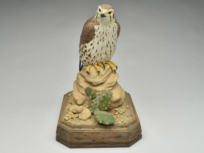 Full-size peregrine falcon, Ron Tepley, Racine, Wisconsin. (#0148) on ...