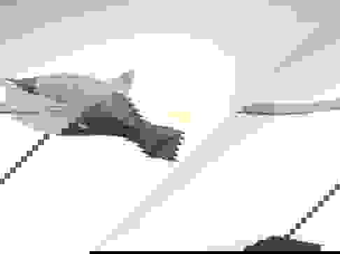 Rare Flying Brant, Harry V. Shourds, Tuckerton, New Jersey. Auction