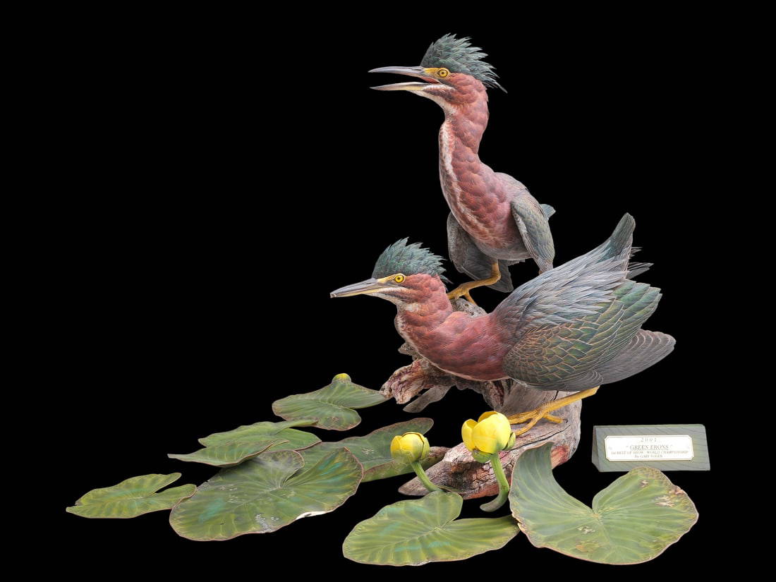 Green Herons, Gary Yoder, Garret County, Maryland. Auction