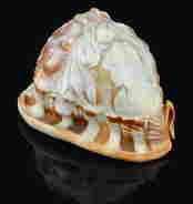 CARVED CAMEO CONCH SHELL - Jun 05, 2022 | Carlsen Gallery, Inc. in NY