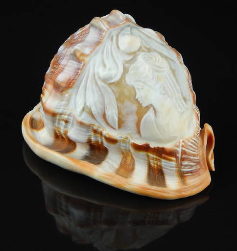 Italian Carved Cameo Conch Shell
