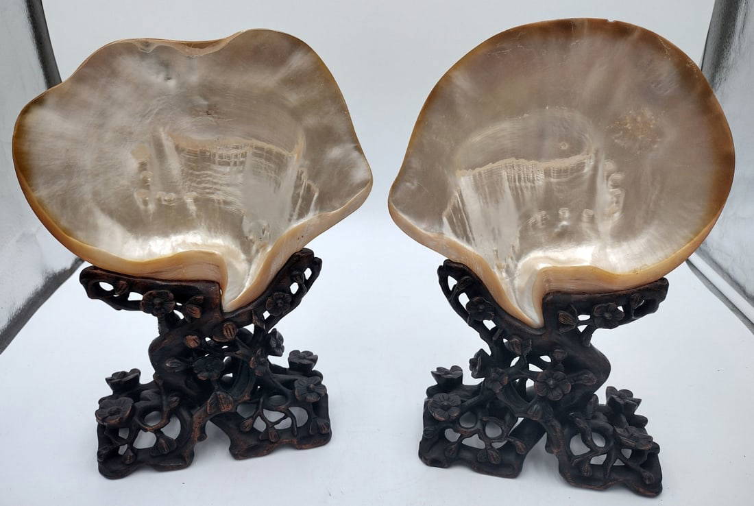 A Pair Of Chinese Mop Shells With Bases Auction