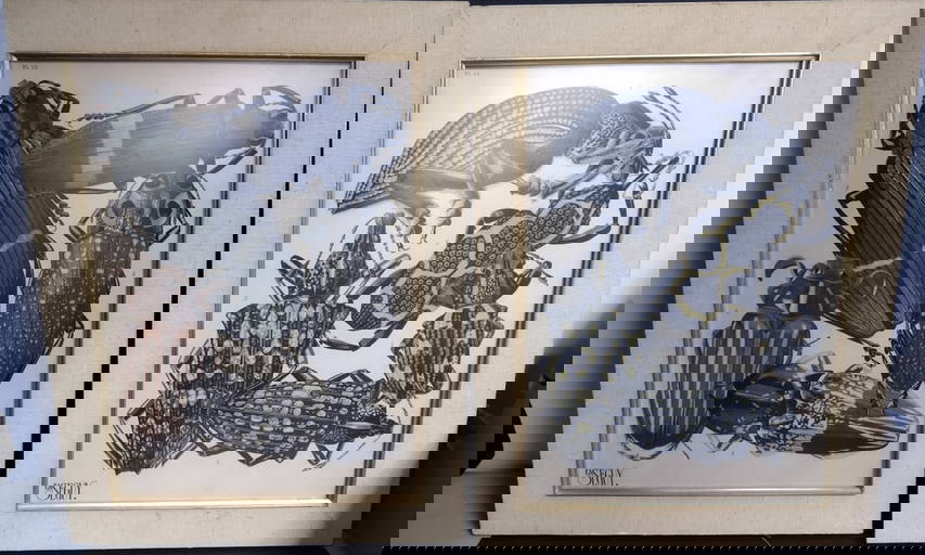Eugene Alain Seguy Collection Of 6 Insect Works