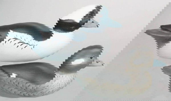 Pair Of Bufflehead Decoys By Robert Weeks