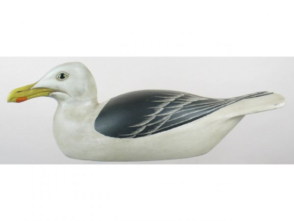 Hollow Black Backed Gull Carving