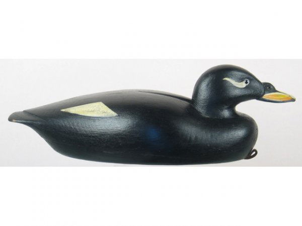 Scoter Decoy By David Ward