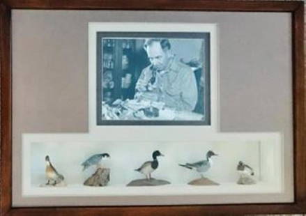 Shadowbox Frame W/ 5 Gibbs Birds And A Photo