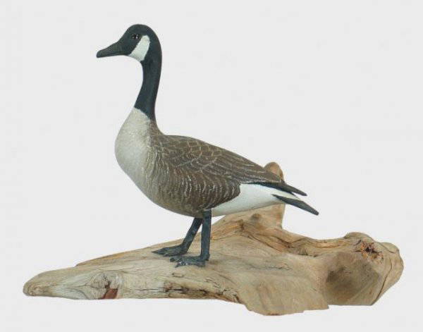 Miniature Canada Goose By Mark Holland
