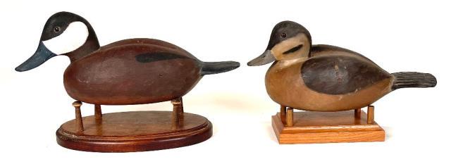 Pair Of Ruddy Ducks By Alberto Williams