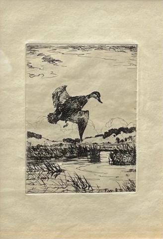 Etching By Frank Benson Black Duck