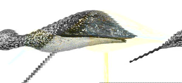 Rare Feeding Yellowlegs By George Hinkley Of Bever