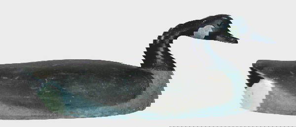 Sculptural, Hollow Carved, Crook Necked Goose. Ver