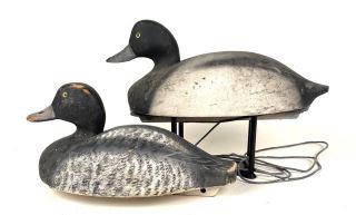 Two Bluebill Drakes by Wildfowler (#0136) on Sep 17, 2022 | Decoys ...