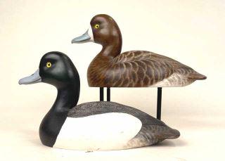 Pair Of Bluebills By Robert Kerr