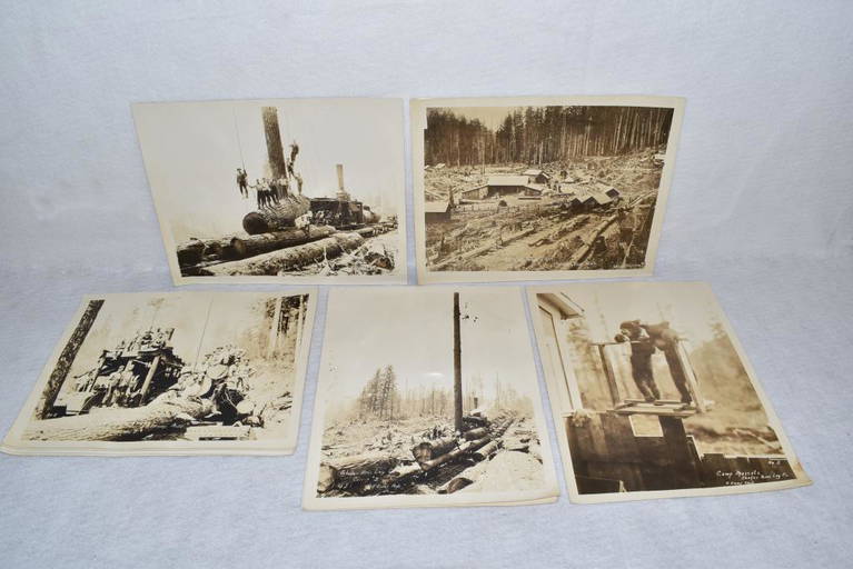 Grouping Of Antique Logging Pictures