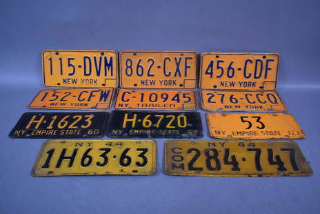 11 License Plates