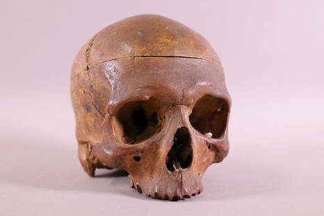 Antique Real Human Skull