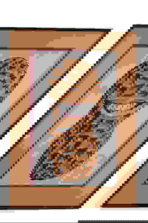 Signed Jimmy Carter Peanut Print Auction