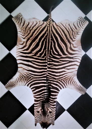 Extra Large Zebra Skin Area Rug