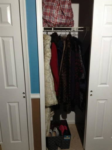 Contents Of Half Closet Mostly Faux Furs And Shoes