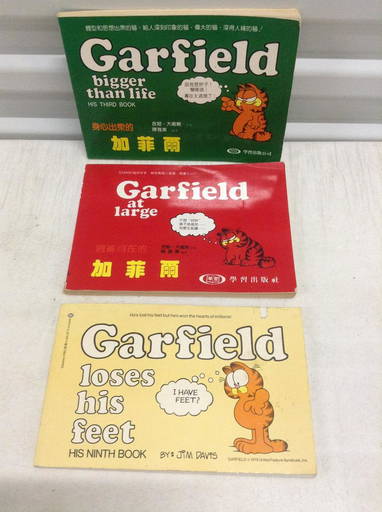 1978 Garfield And Two Vintage Garfield Books In Chinese