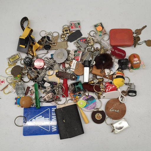 Huge Collection Of Vintage Key Chains And Holders