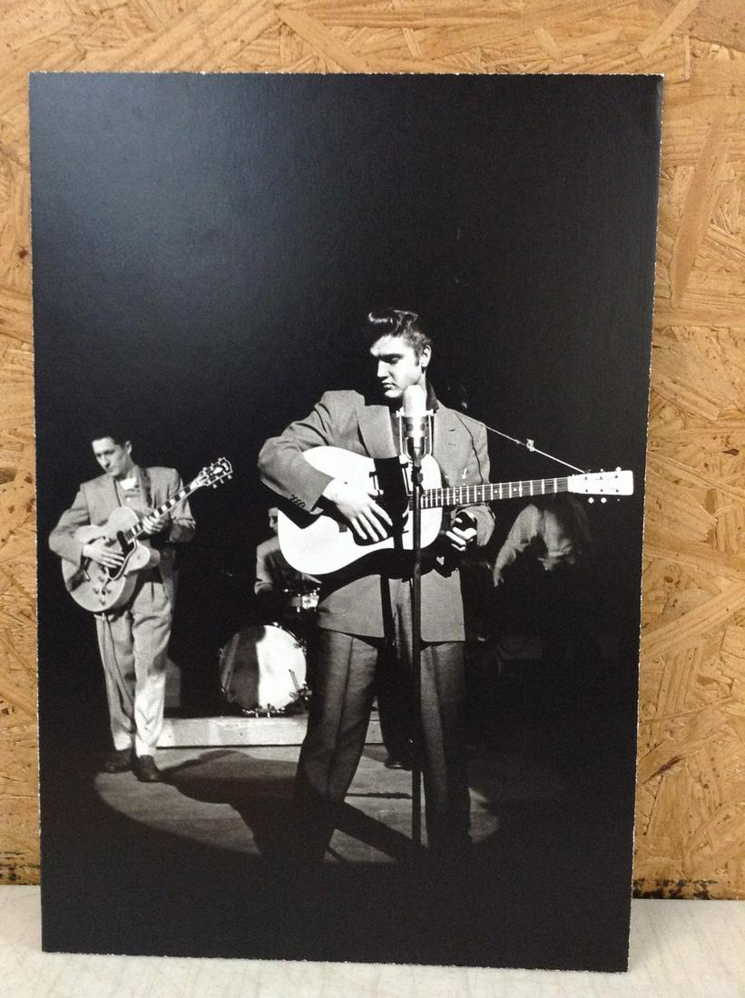 Elvis Presley Print in Colors 14.75x10" (#0053) on May 19, 2022 ...