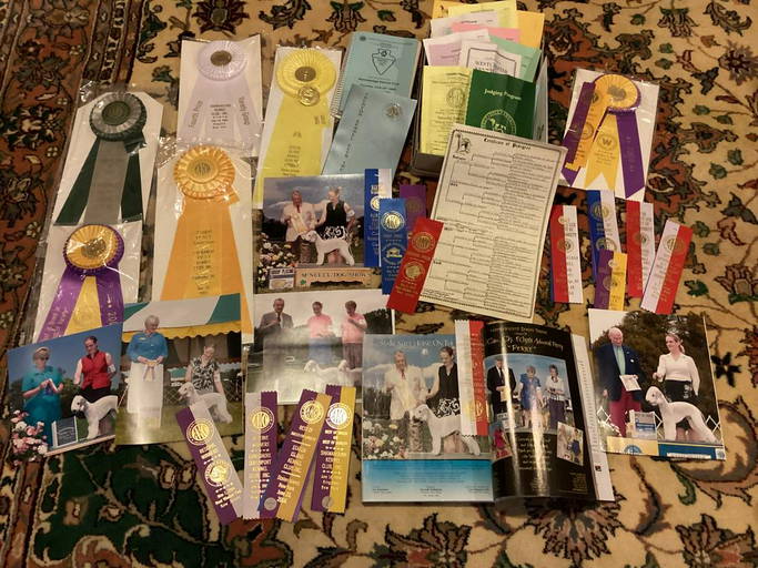 Large Lot Of Various Kennel Club Dog Show Ribbons, Photos, Judging ...